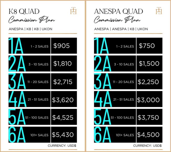 Skyrocket Your Income: Discover the Enagic Compensation Plan - Thriving Creative Life